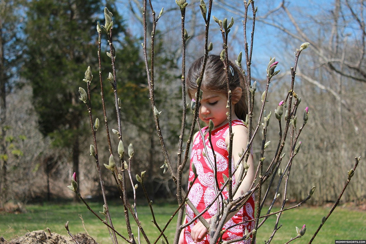 Planting a Tree to Grow Up with My Girls