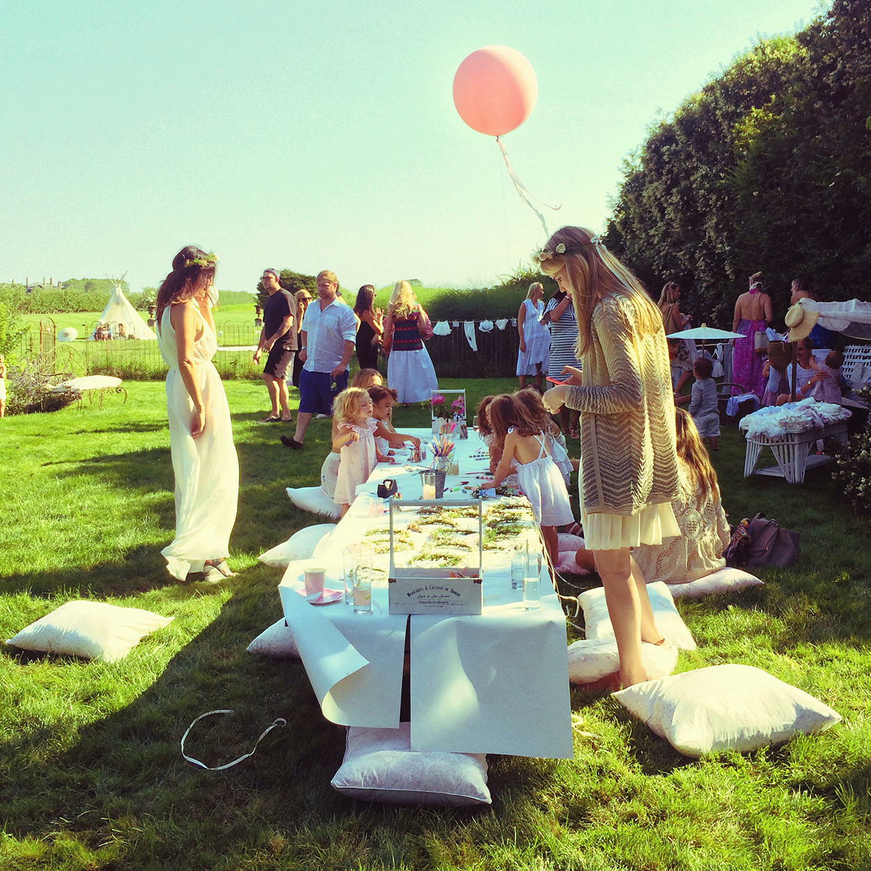 Toddler Fury at the French Picnic