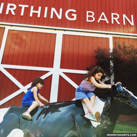 Our Big Trip to Fair Oaks Farms