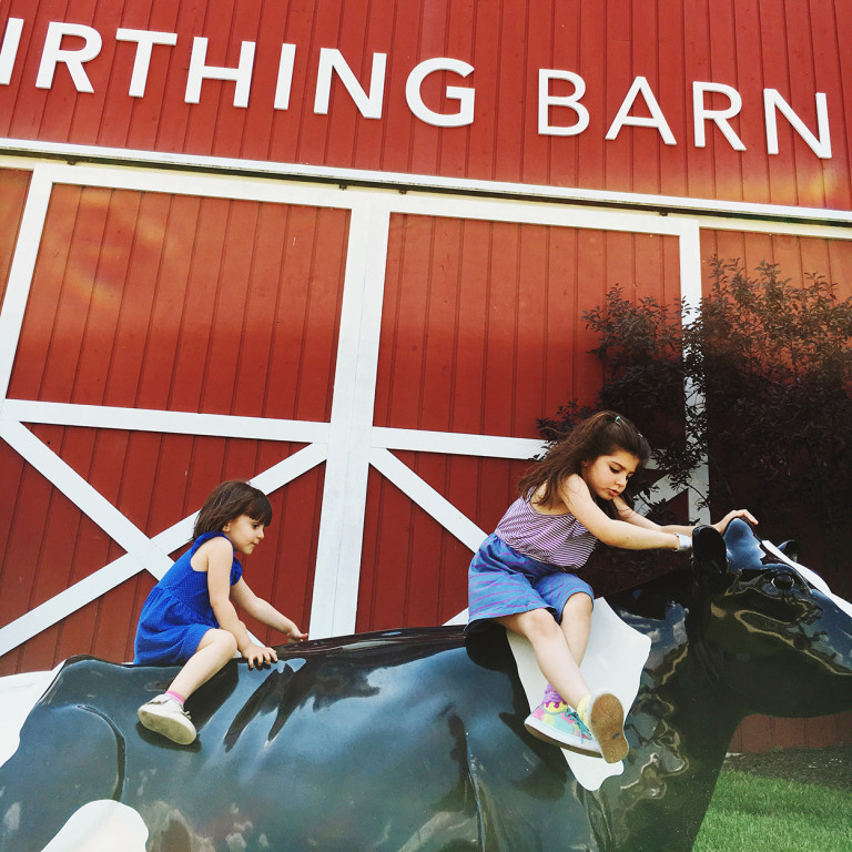 Our Big Trip to Fair Oaks Farms