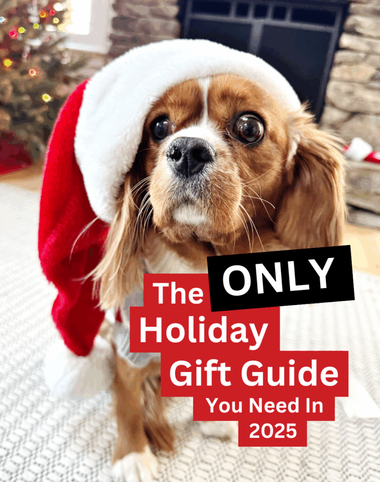 The Only Holiday Gift Guide You Need in 2025
